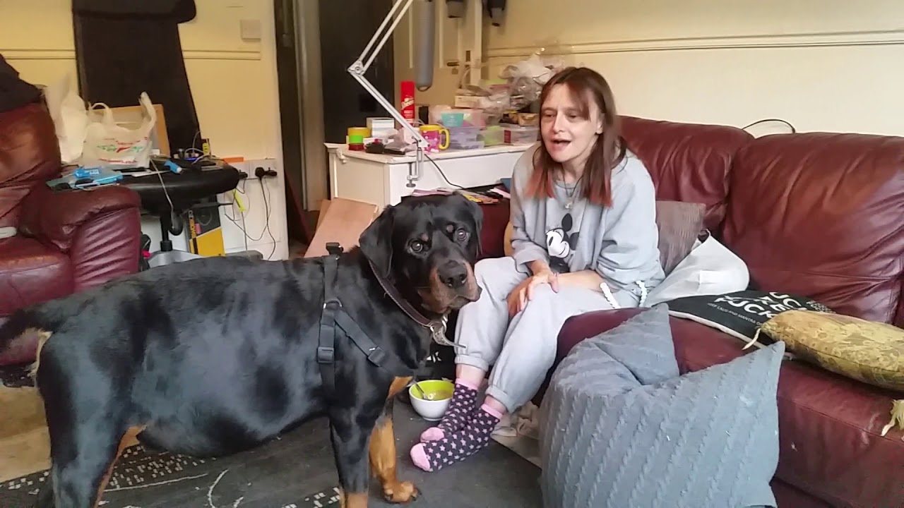 Denzel De Cooper. ..playtime howling 😆 - YouTube