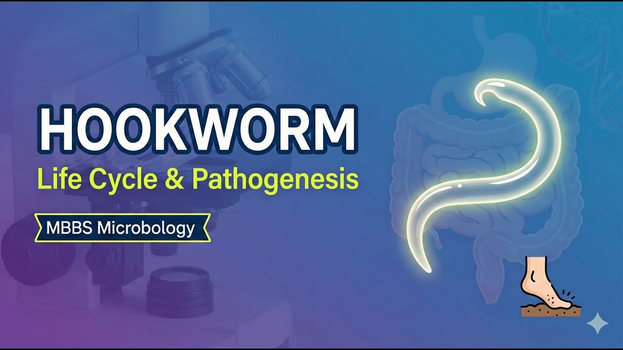 Hookworm (Ancylostoma & Necator) | Microbiology Made Simple | Apurba ...