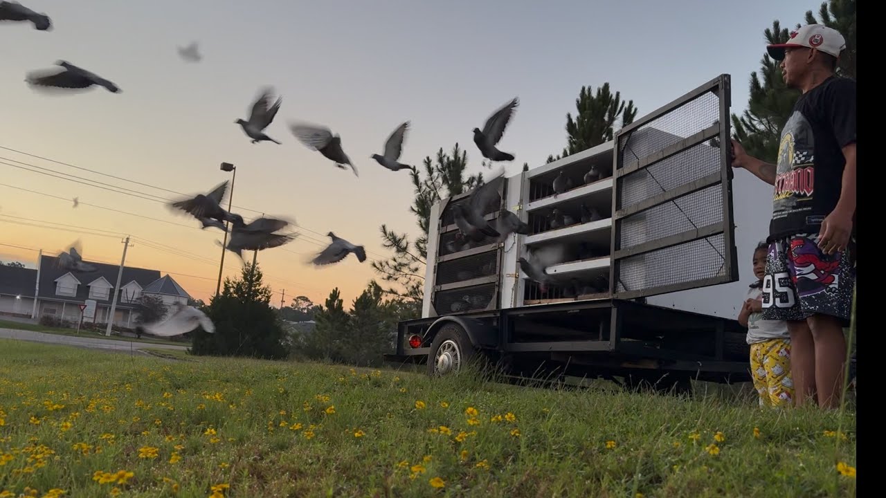 6:20 & 6:30 Birds Up - Capistrano Classic OLR - YouTube