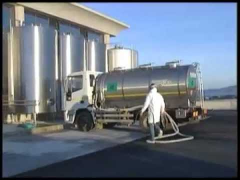 Raccolta latte - YouTube