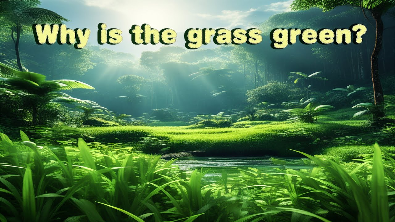 Green Mysteries: Why Is the Grass Green? - YouTube