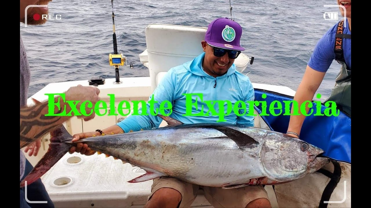 Pesca De Atun Aleta Azul/ Bluefin Tuna Fishing - YouTube