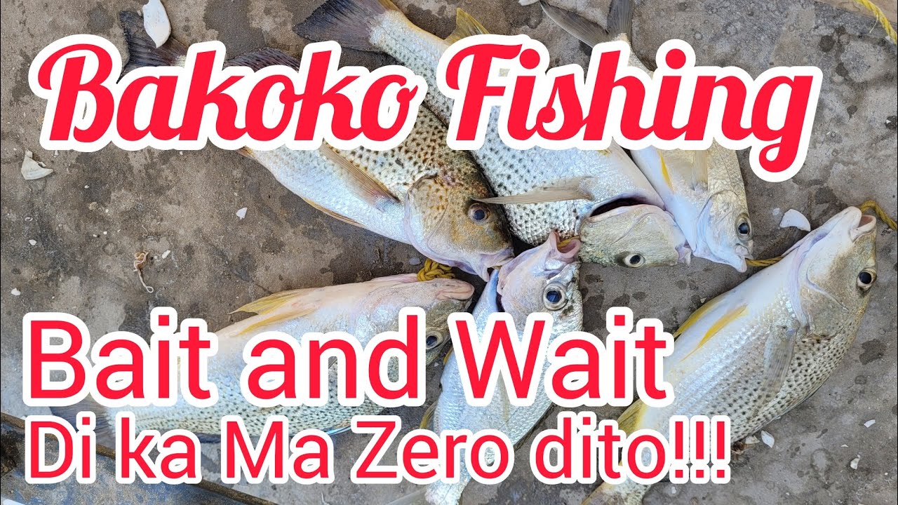 Saturday Bakoko Fishing 30.04.2023 #fish #fishing #dubai - YouTube