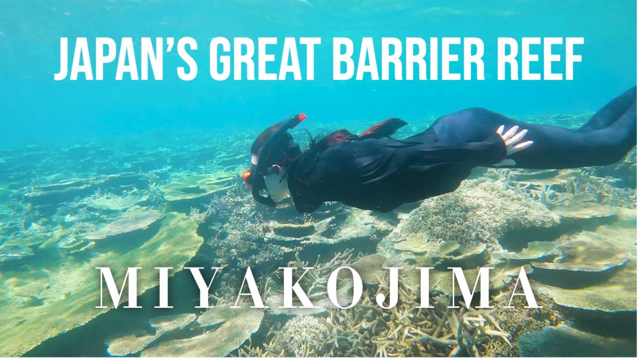 Japan's Most Beautiful Snorkeling Spot | Yabiji Coral Reef | Miyakojima ...