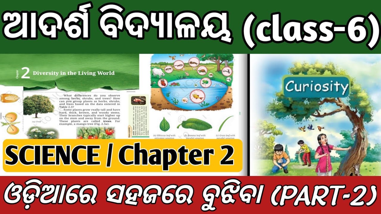 Oav Class 6 Science chapter 2 /Curiosity Chapter 2 question answer ...