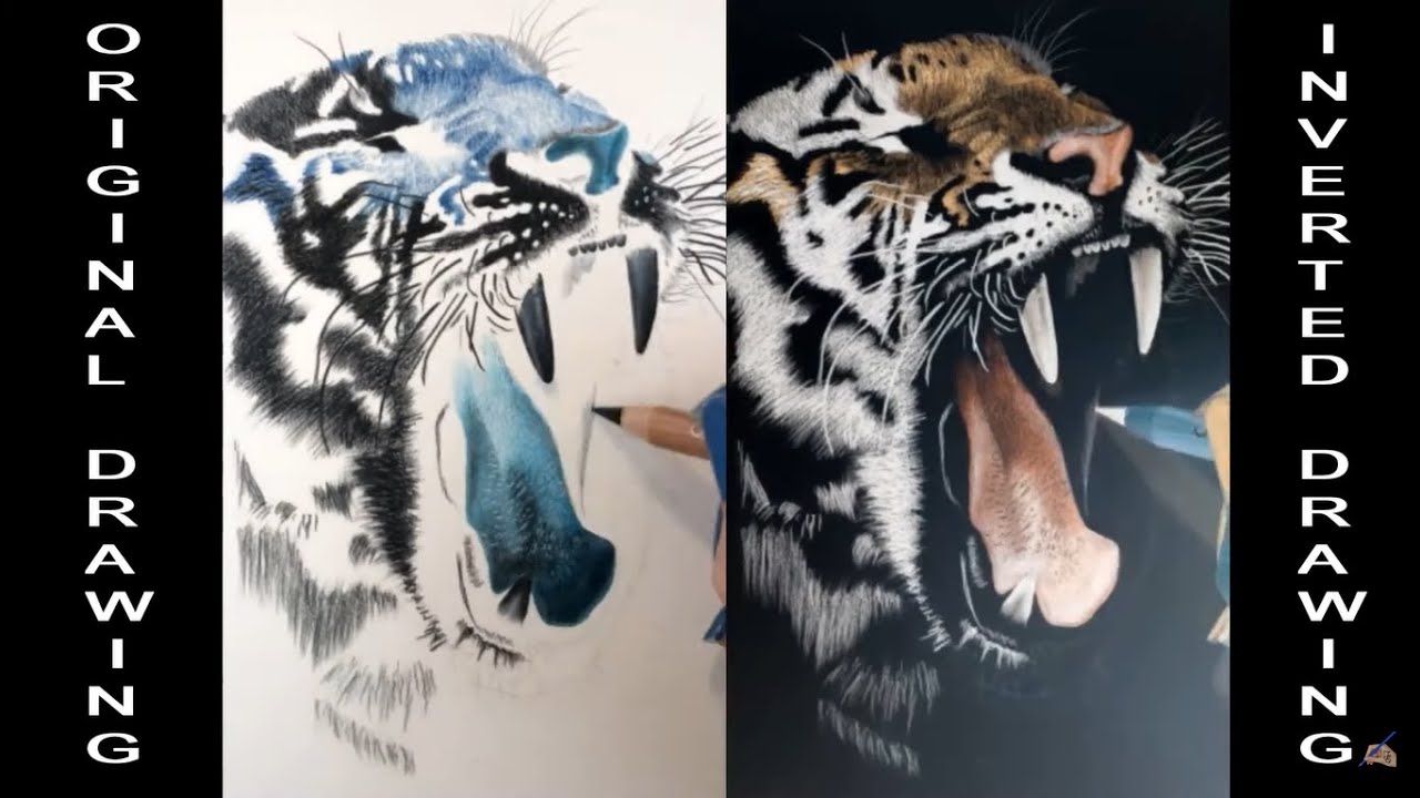 Inverted Drawing: a Yawning Tiger 🐯 | Jasmina Susak - YouTube
