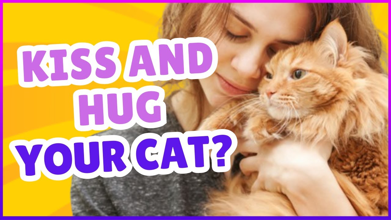 KISS AND HUG [Find out what he understands] - YouTube