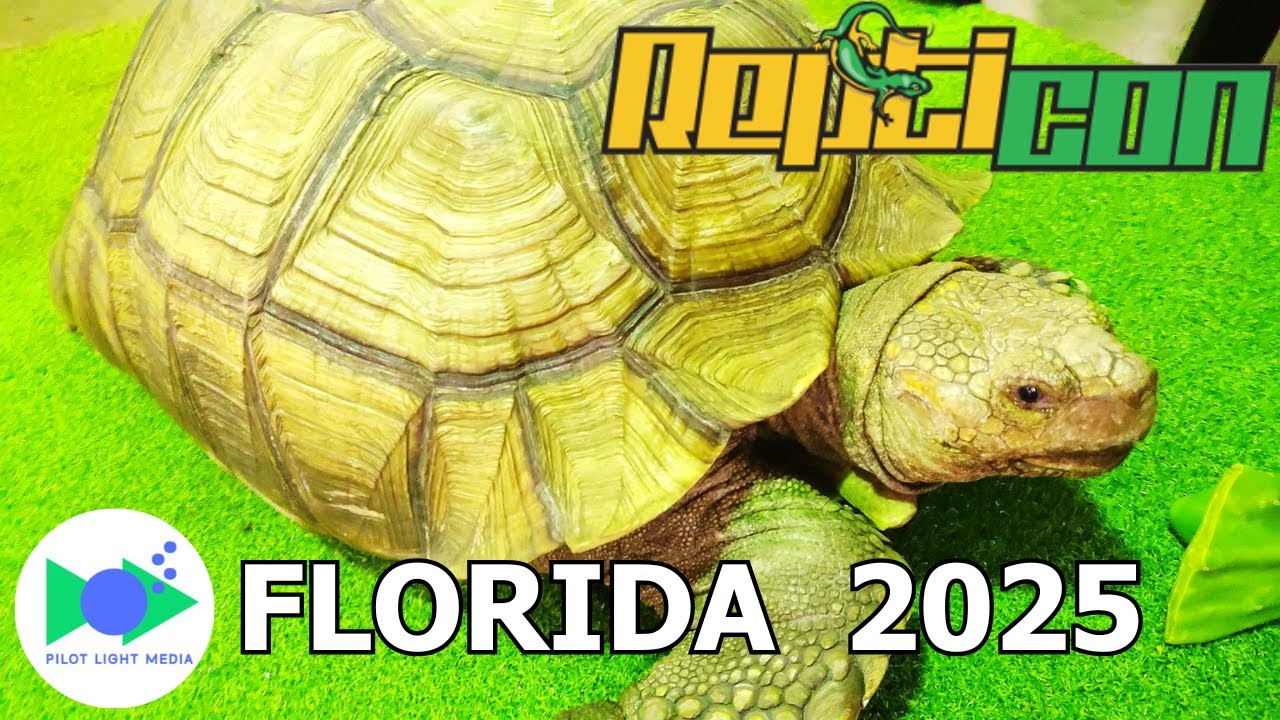 BEST OF REPTICON - Jacksonville, Florida Spring 2025 - YouTube
