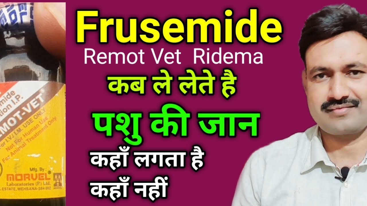 Remote Vet Injection Furosemide injection veterinary Ramawat Vets Club ...