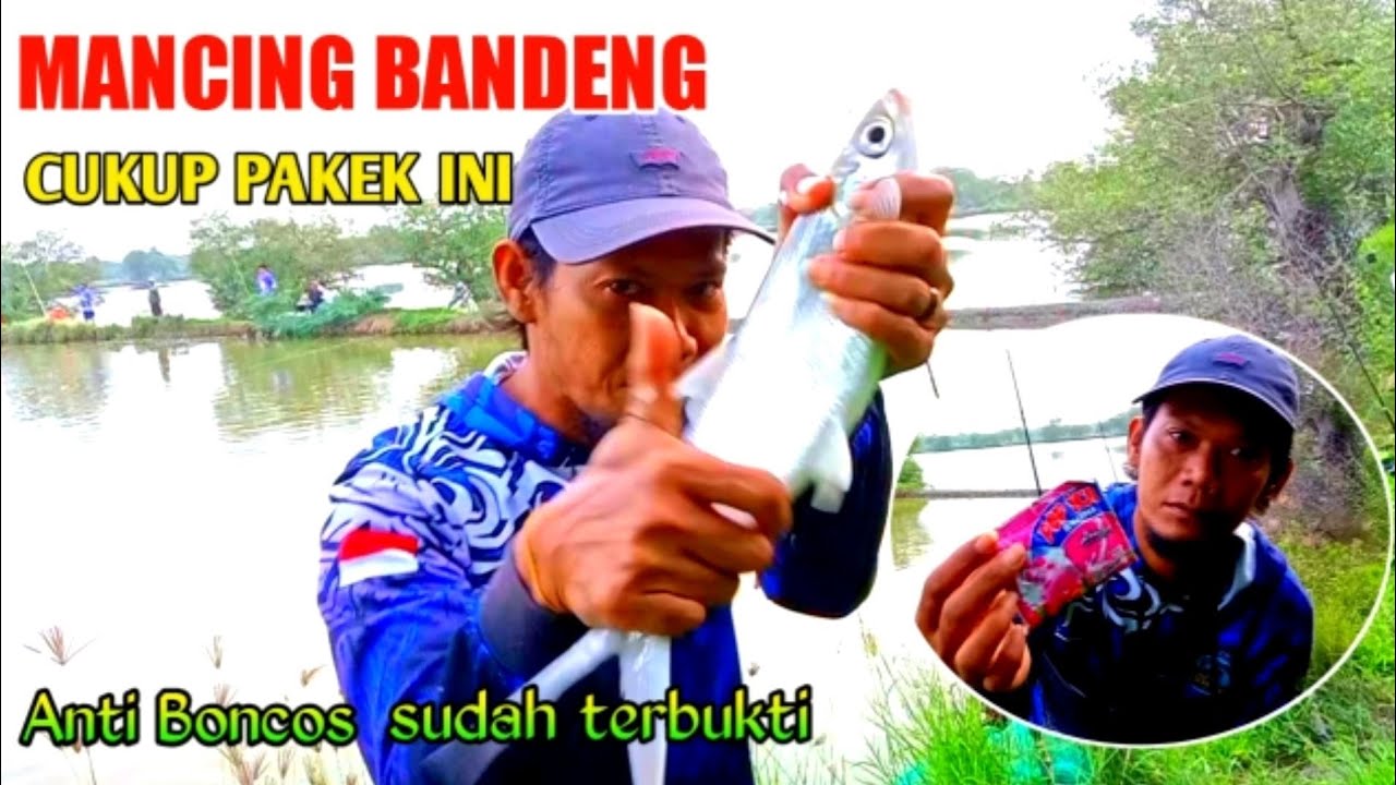 Tips Mancing Bandeng Tambak || Essen Pop Ice Jitu Buat Mancing Bandeng ...