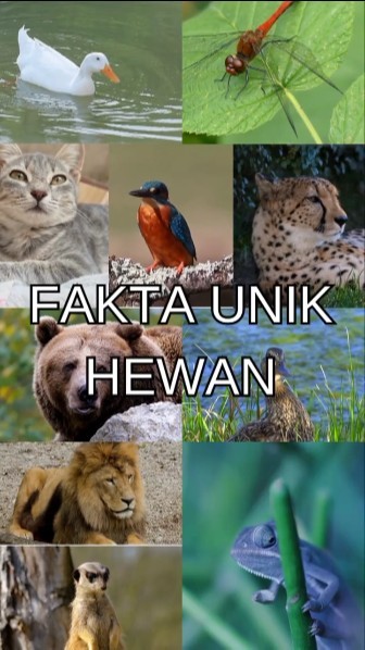 Apa hewan memiliki keunikan masing-masing? #faktaunik #hewan #bebek # ...