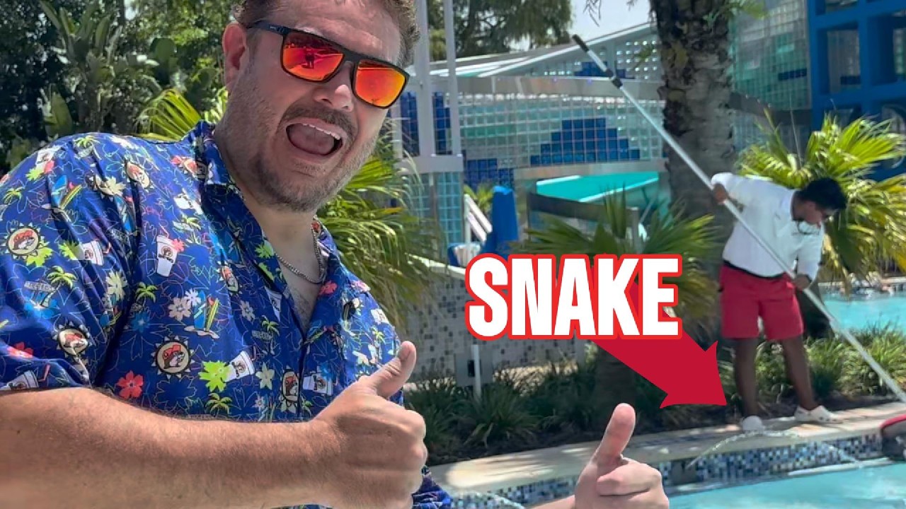 I Found a Snake in the Pool at this Resort - Birthday Vlog - YouTube