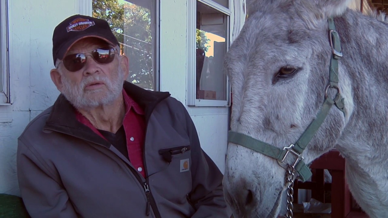 A Real Good Deal (the story of Willy the donkey) - YouTube