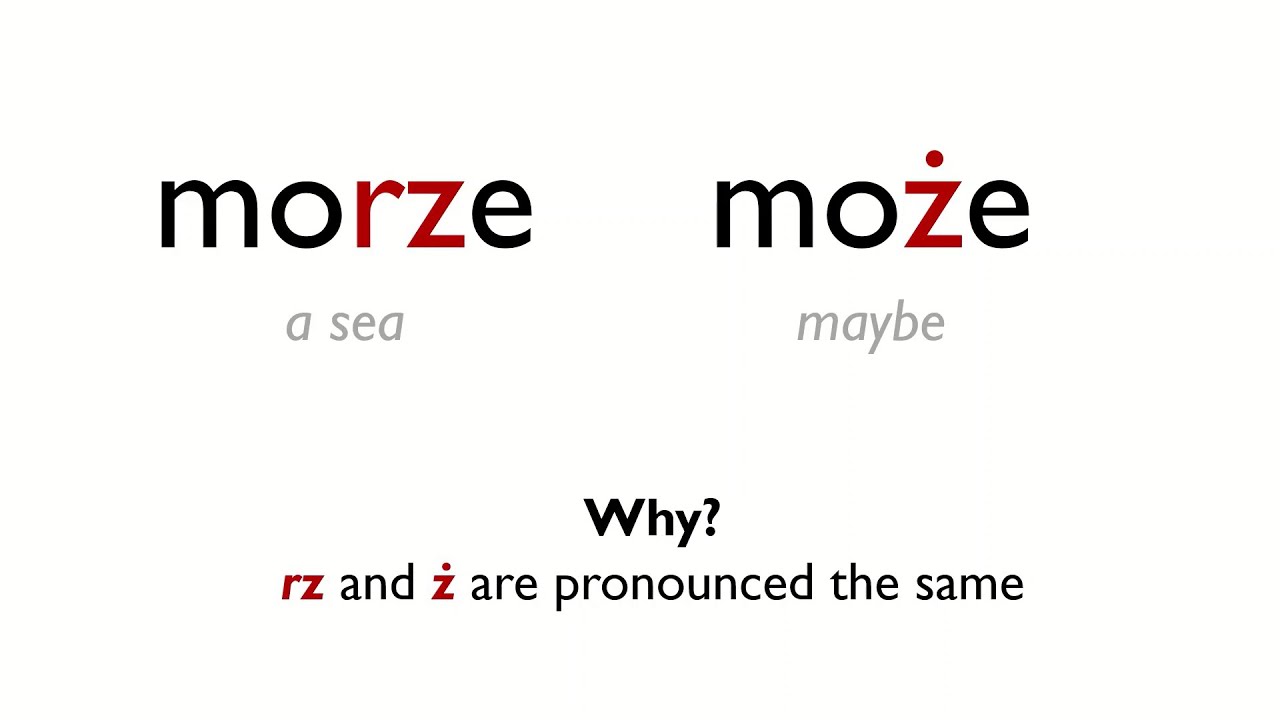 Homophones in Polish: Words pronounced the same but different meaning ...