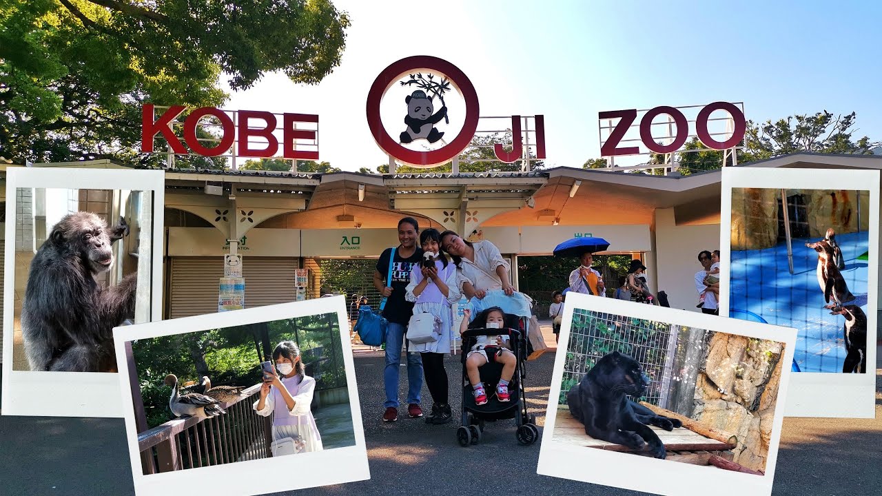 Kobe Oji Zoo (王子動物園) ‘23 | A Beautiful Day ‘23 - YouTube