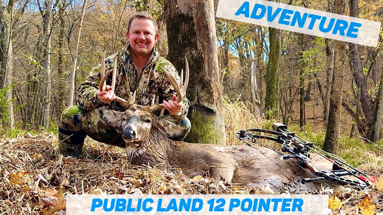 Couldn’t see! Public land adventure! 12 pointer. - YouTube