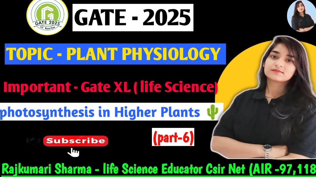 Photorespiration in Higher Plants (C2- Cycle) | Photosynthesis Affected ...
