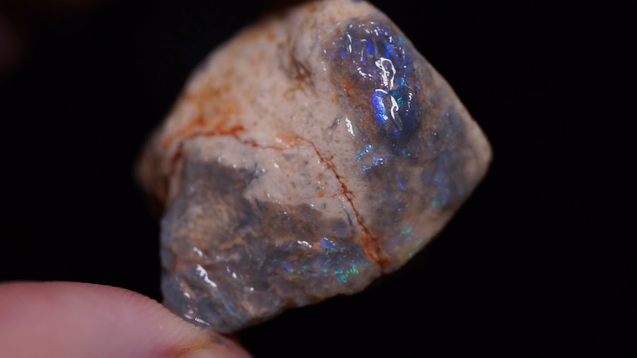 R01453 58 Carat Australian Lightning Ridge Rough Opalized Shell Fossil ...