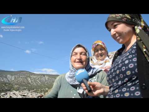 TOSYA'DA BU KÖYDE KADINLAR TRAKTÖR KULLANIYOR