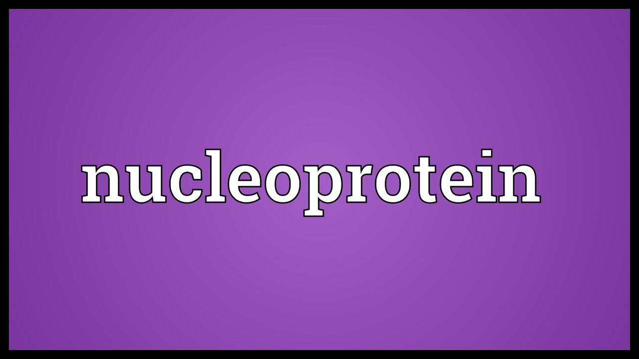 Nucleoprotein Meaning - YouTube