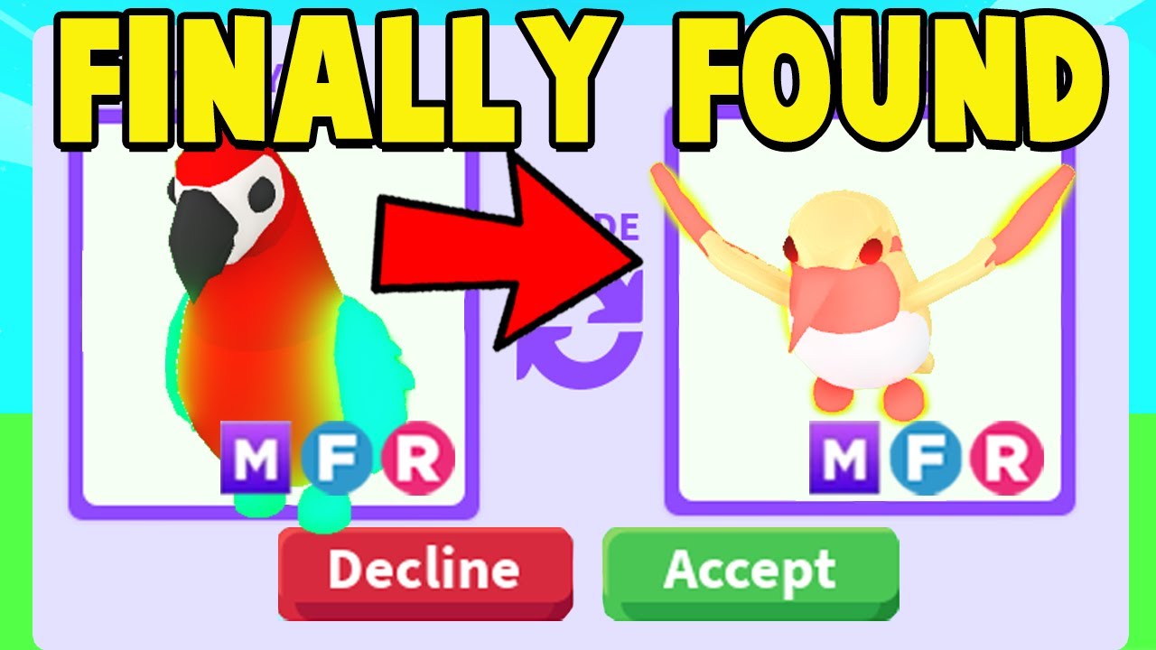 Trading for MEGA GOLDEN HUMMINGBIRD in Adopt Me! - YouTube
