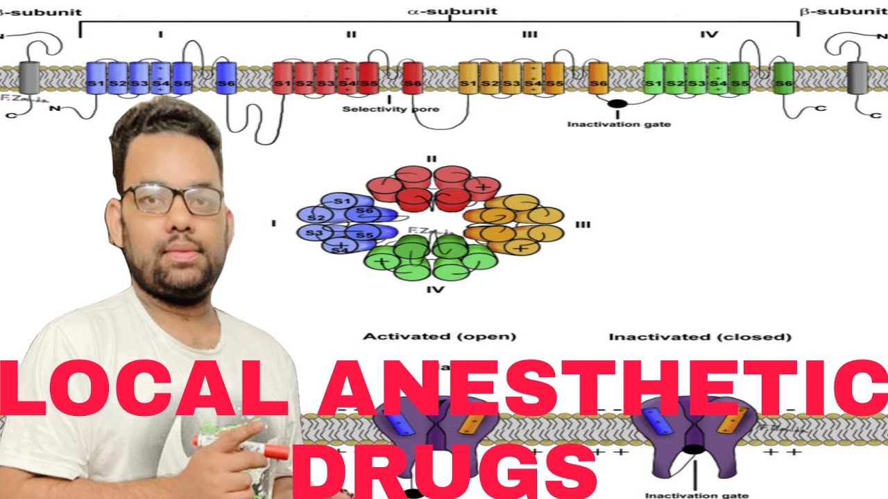 LOCAL ANESTHETIC DRUGS | #localanesthesia #pharmacology - YouTube