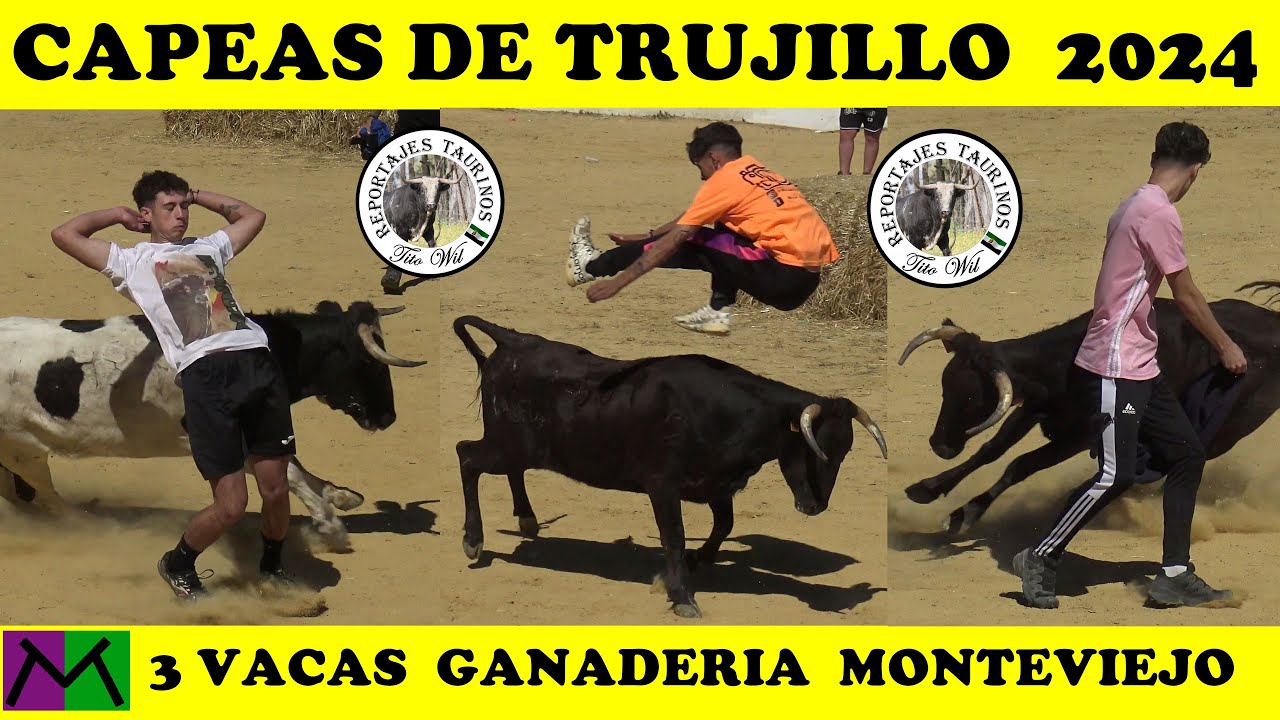 CAPEA 3 VACAS DE MONTEVIEJO TRUJILLO SEPTIEMBRE 2024 #bull #tradiciones ...