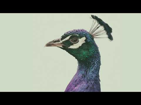 Dj Kabristan-Ping Ping Blue (2017)