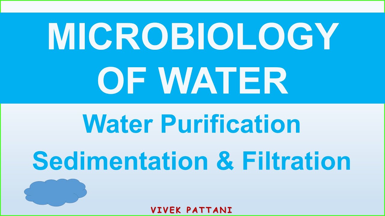 Water purification Sedimentation and Filtration - YouTube