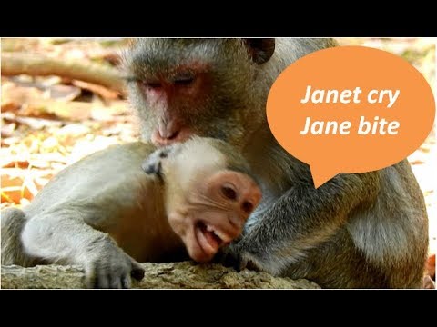 today mom Jane feel not good | Jane bite Janet so hard cos angry Janet ...