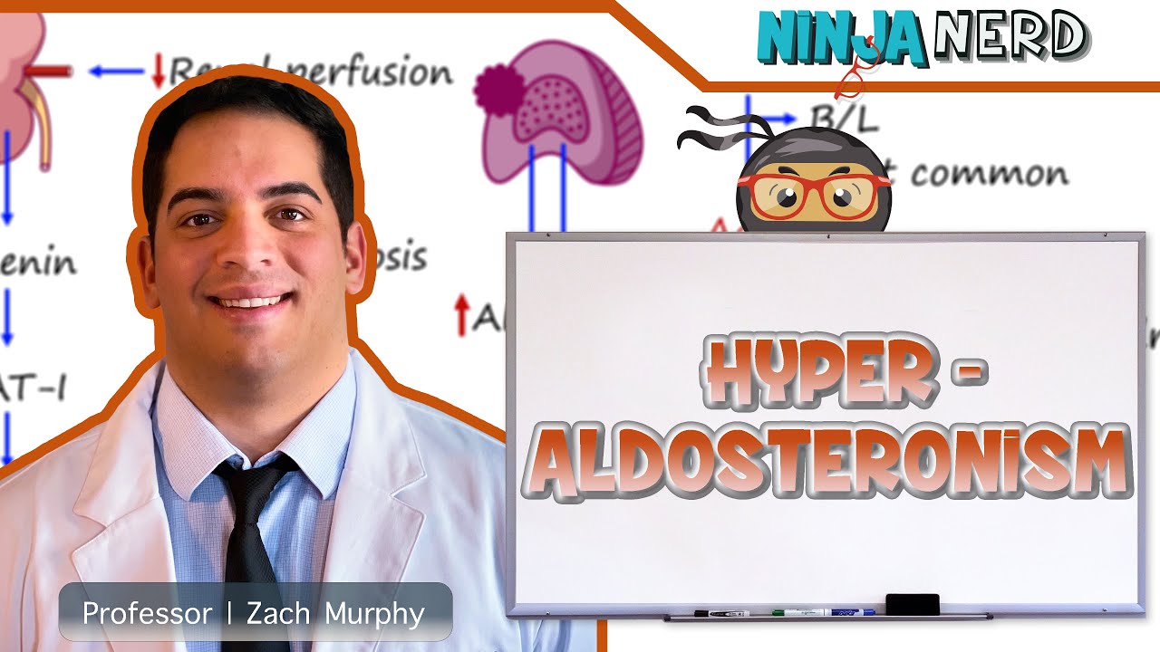 Hyperaldosteronism | Clinical Medicine - YouTube