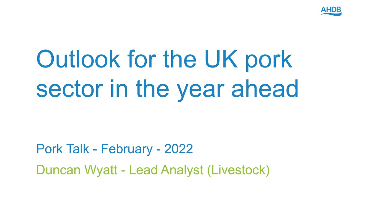 Outlook for the UK pork sector in the year ahead – Pork Market Update ...