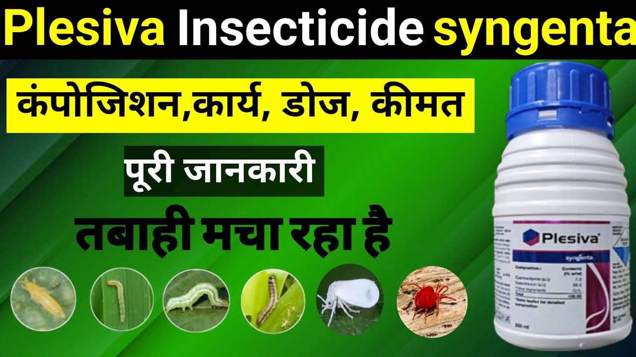 Plesiva Insecticide।। Plesiva Insecticide Syngenta।।Plsesiva Syngenta ...