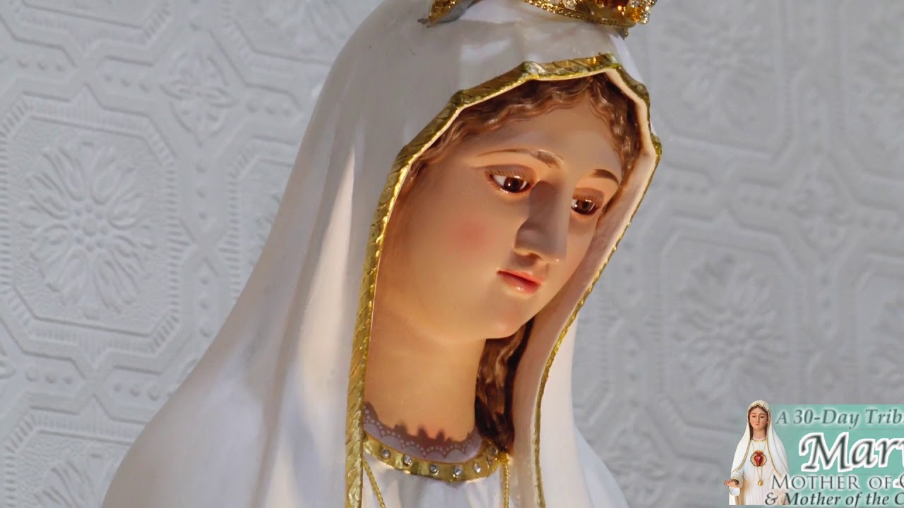 30 DAY TRIBUTE TO MARY 28TH ROSE: Queen of Mercy - YouTube