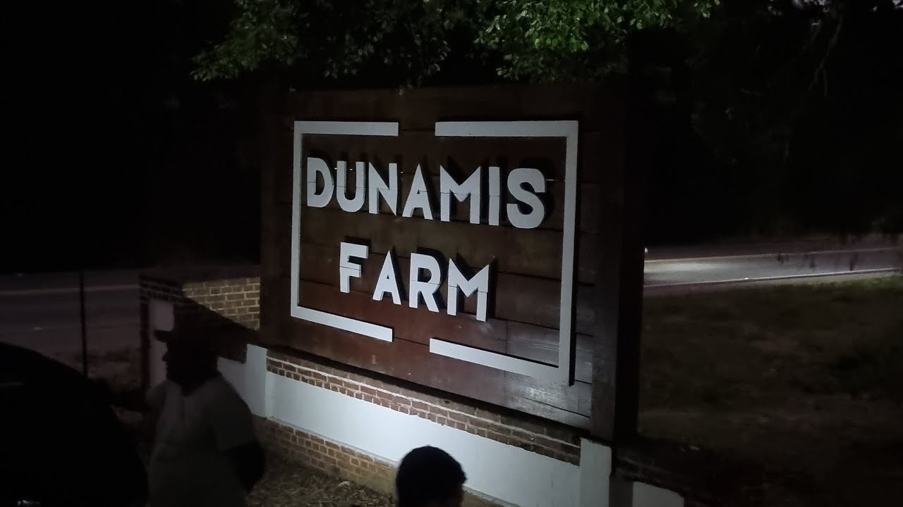 Resumo da chegada Dunamis Farm - Greenhouse 2023 | Carol Gonçalves ...