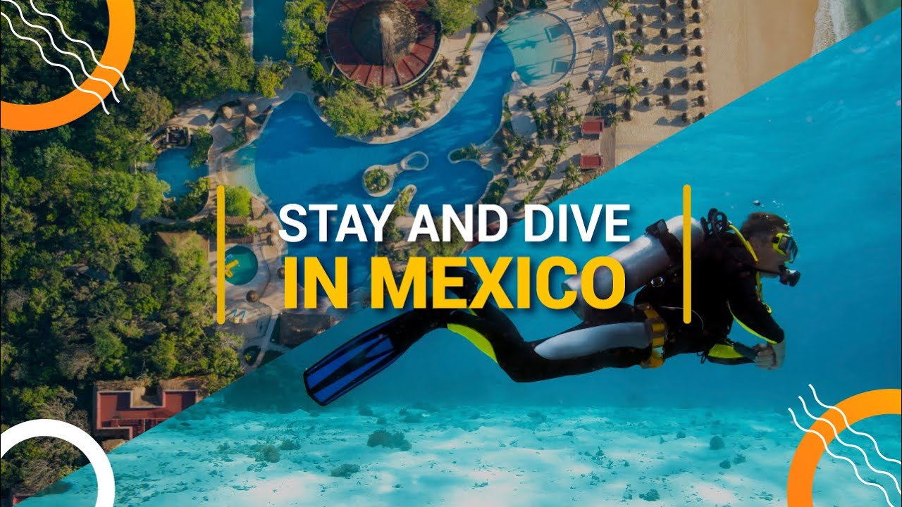 STAY & DIVE IN MEXICO with Dressel Divers - YouTube