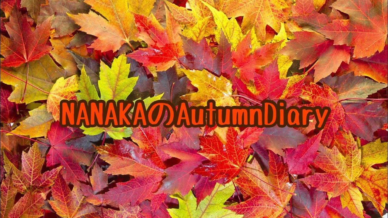 Autumn Diary 🍂初自撮り🤳&初編集I 秋の料理IハンギョドンI ダイソー - YouTube