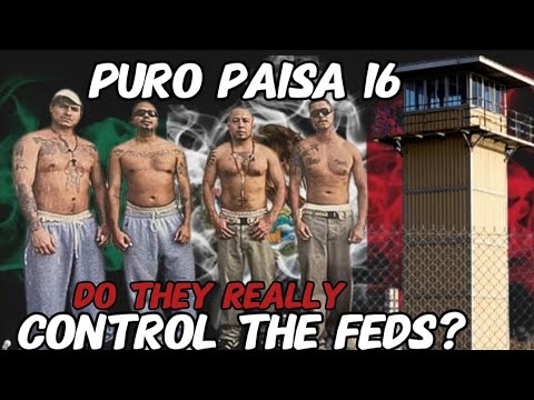 PAISA 16 DO THEY RUN THE FED PRISONS ?? WHAT HAPPENED TO A NORTENO ...