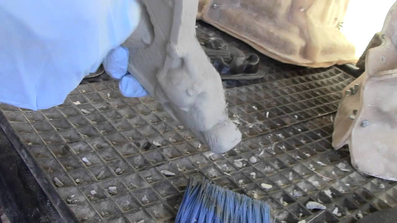 Casting Clean Up from Plastic Molds - Flashing etc. - YouTube