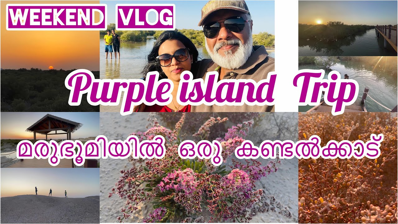 Purple Island Qatar. Beautiful Footbridge through Mangrove Forest to ...