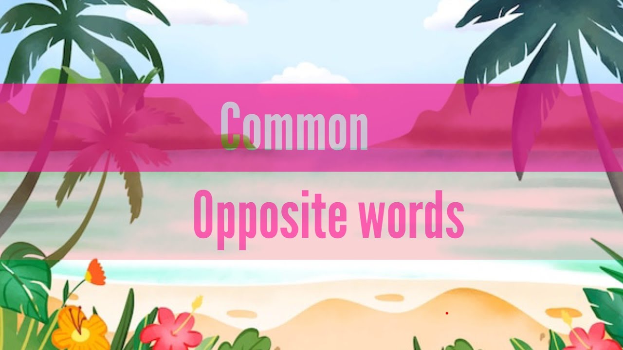 60 Opposite words for nursery /Opposite words for LKG/Go - come /clean ...