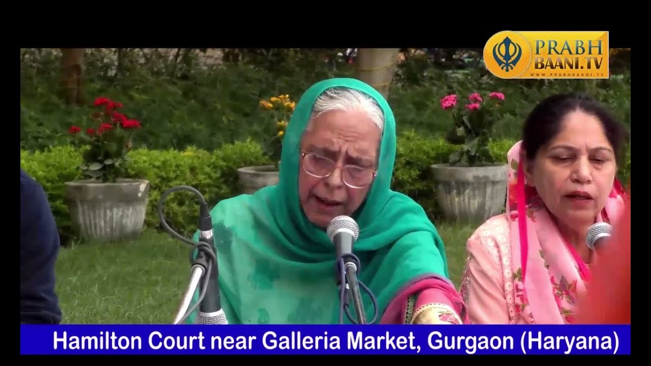 Hamilton Court near Galleria Market, Gurgaon (Haryana) - YouTube