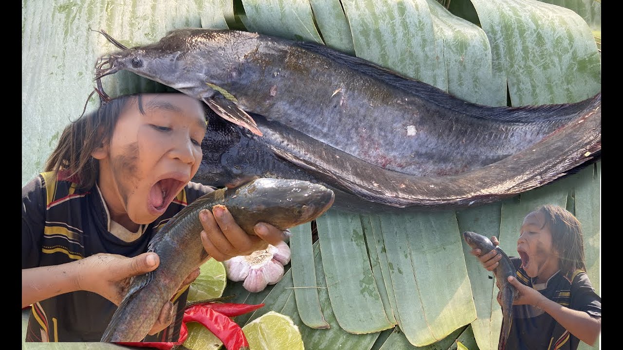 Kmeng knong prey-Catch fish in the lake to cooking, - YouTube