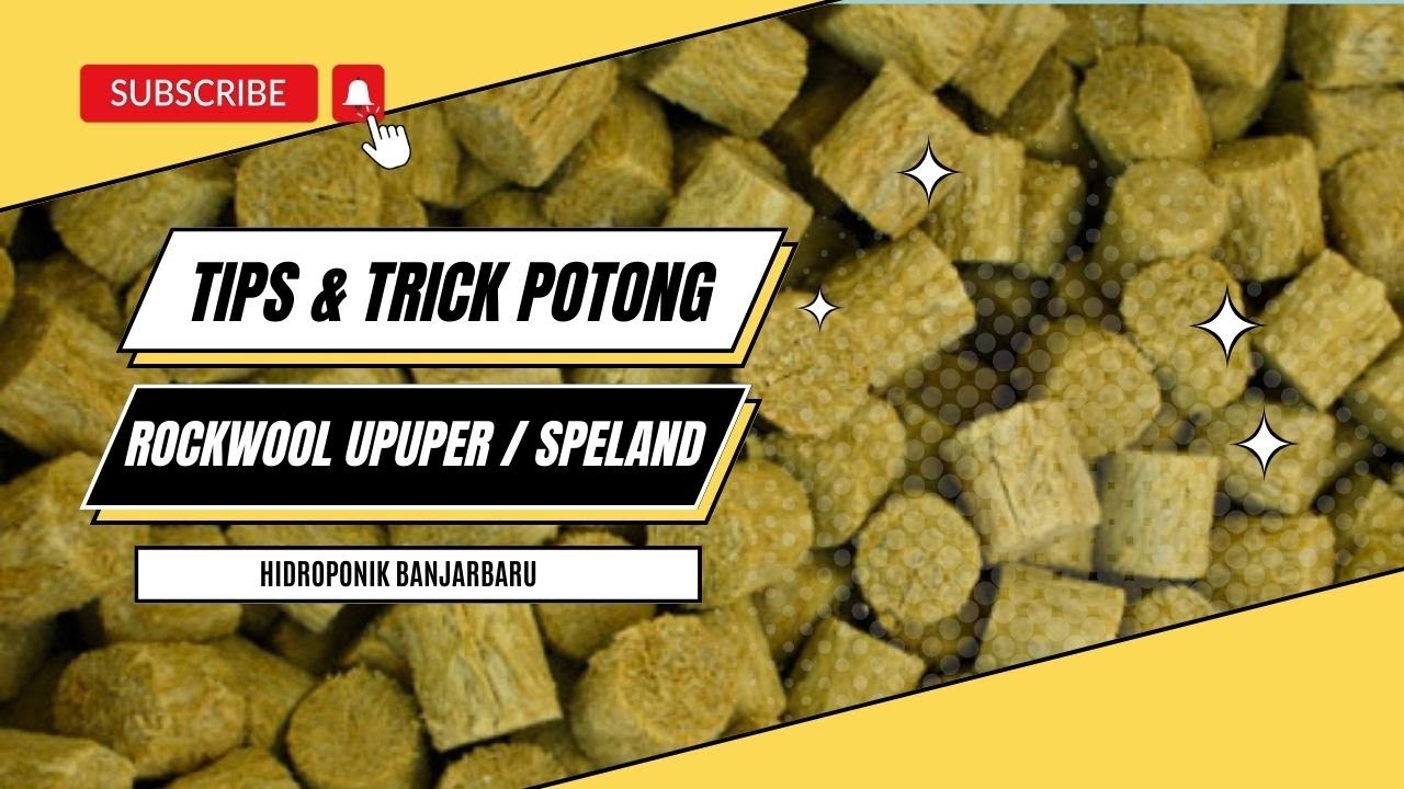 TIPS & TRIK POTONG ROCKWOOL YANG BESAR MERK UPUPER ATAU SPELAND - YouTube