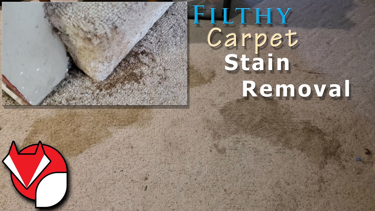How To Remove And Clean EXTREME Old Carpet Stains - Tips and Satisfying ...