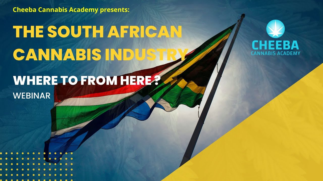 The South African Cannabis Industry - Where to From Here ? - YouTube