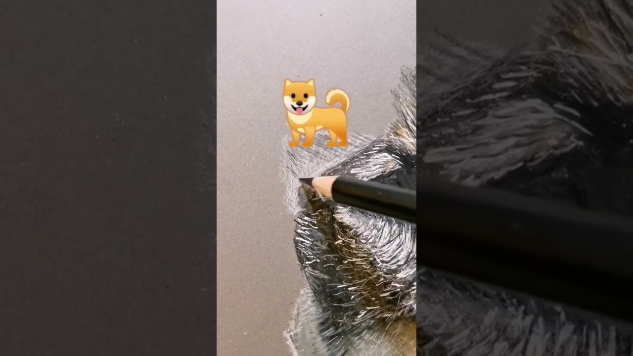 inoxtag voici un dessin de ton chien 😁 #art #dessin #lilbronn - YouTube