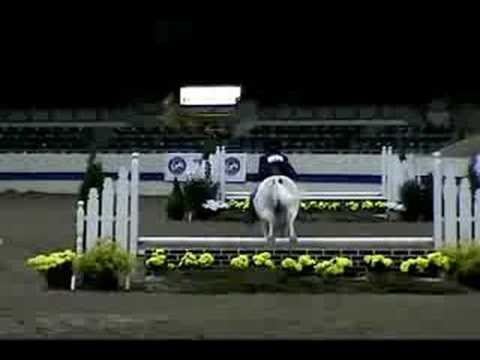 Deer Run Stables Good Night Moon - YouTube