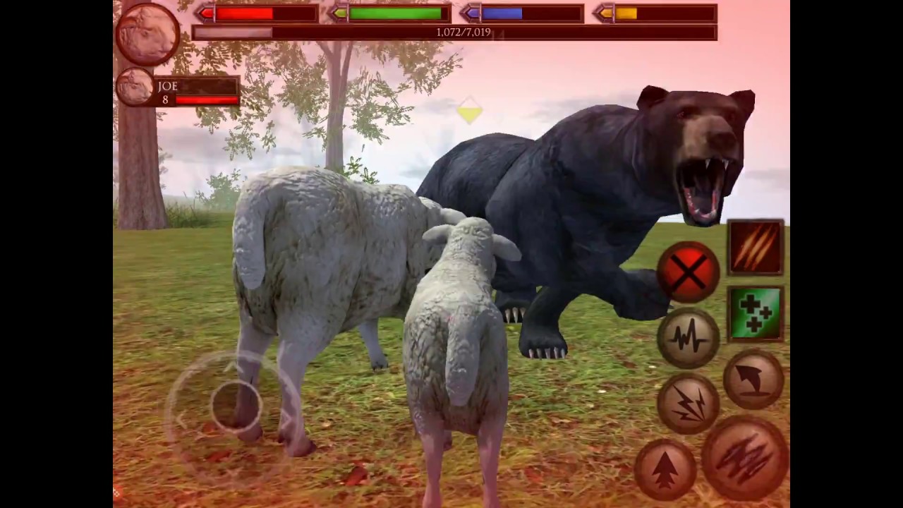 🐑Ultimate Sheep Simulator Sheep VS🐻 Bear Fight-Ultimate Farm Simulator ...