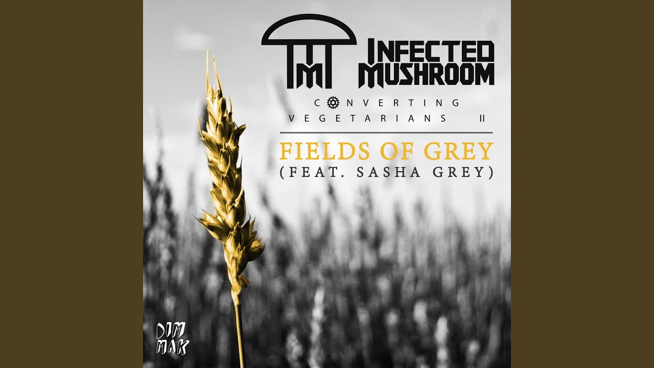 Fields of Grey (feat. Sasha Grey) - YouTube